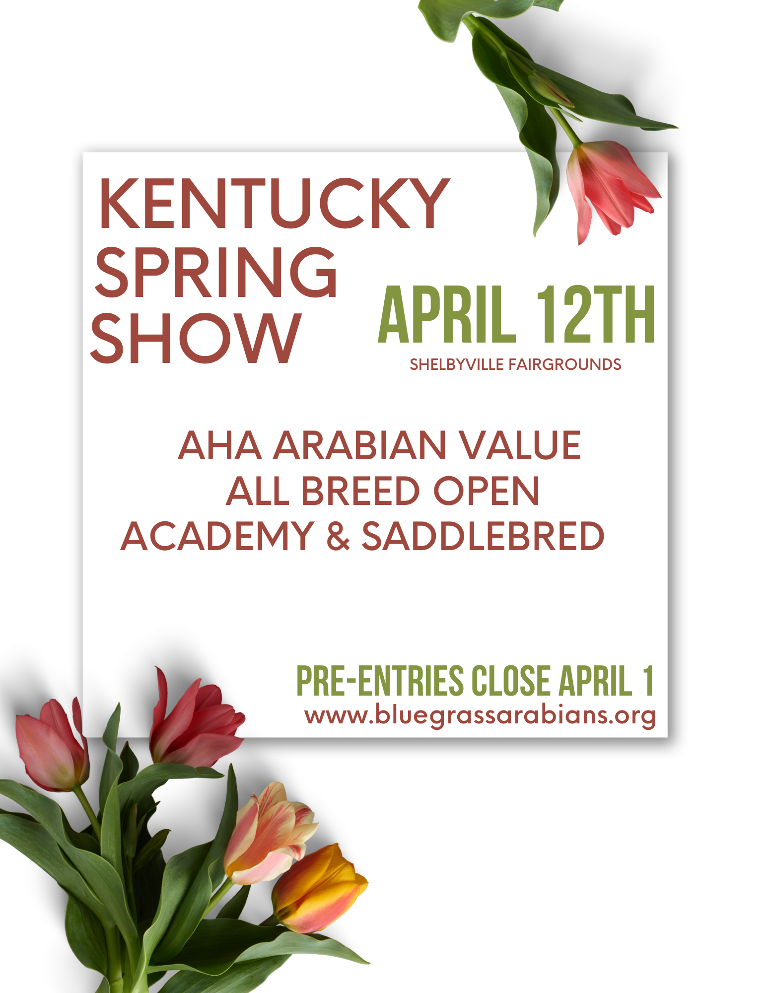 Horse Show Information – Bluegrass Arabian Horse Association